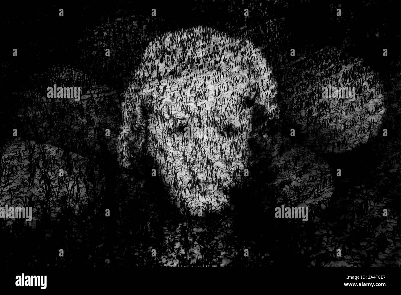 Demonic face hi-res stock photography and images - Alamy