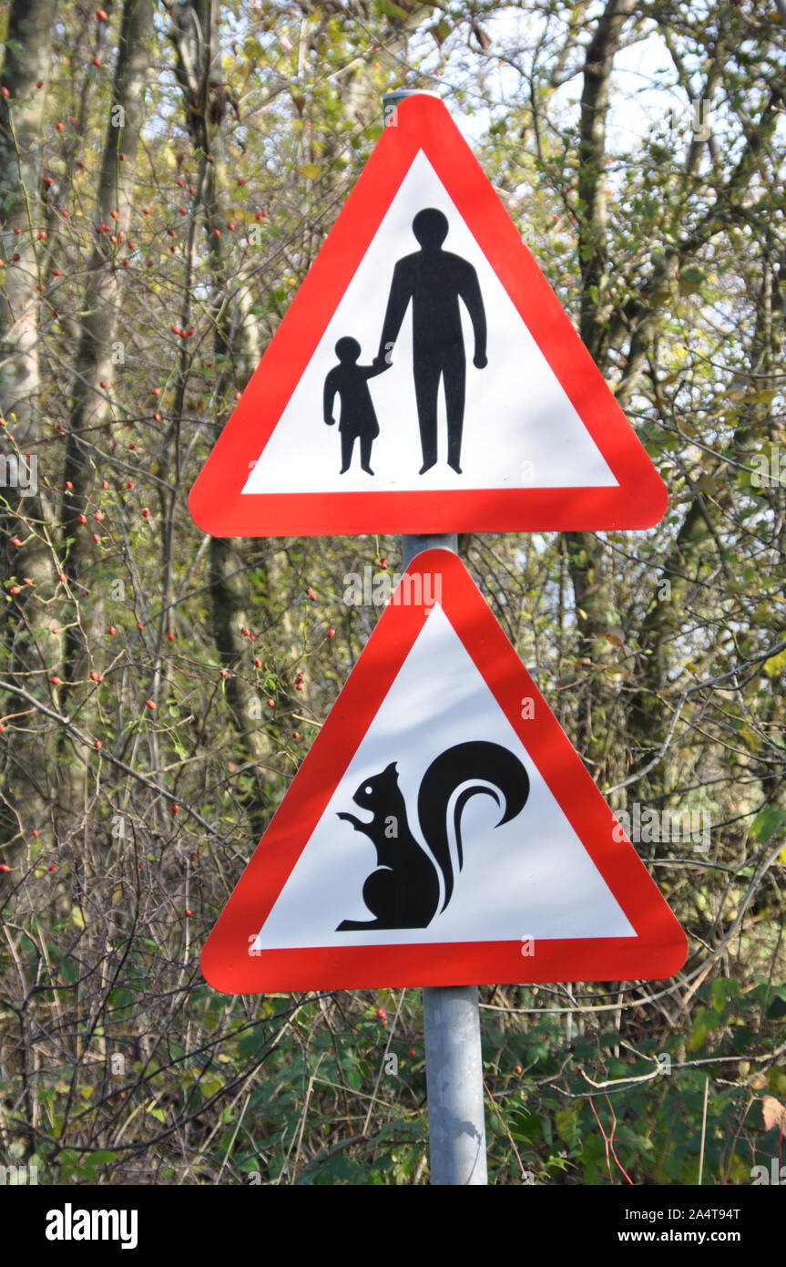 Squirrel and child road warning signs Stock Photo - Alamy