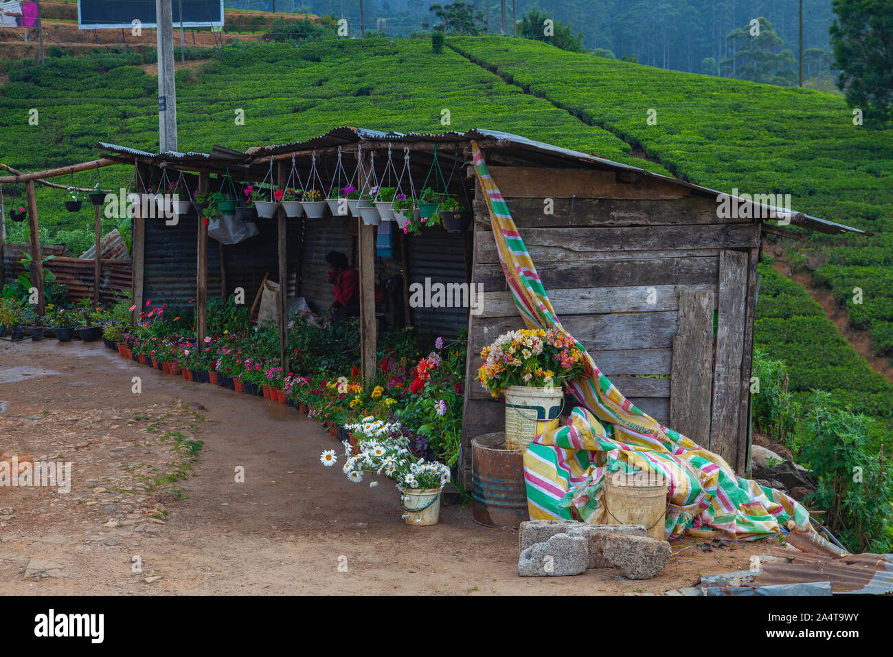 Roadside tea stall hi-res stock photography and images - Alamy