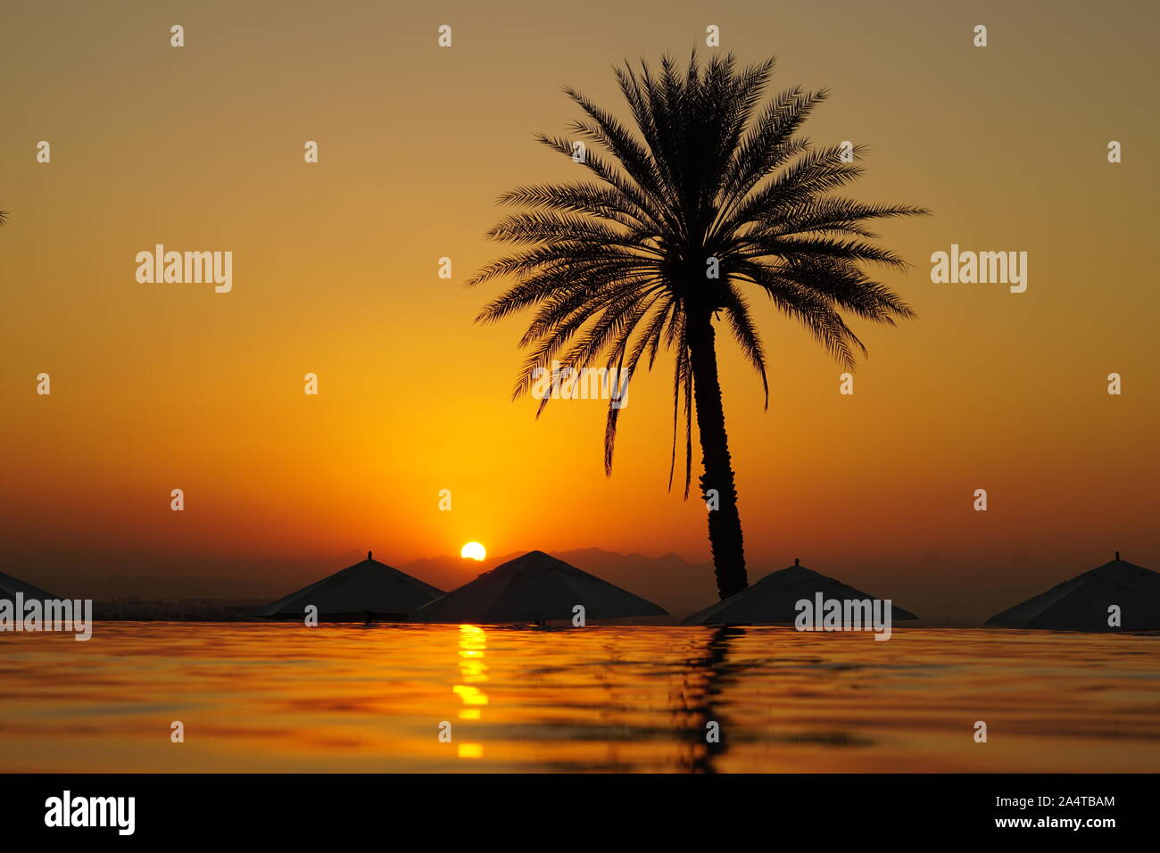 Colors of sunset and palm trees Stock Photo - Alamy