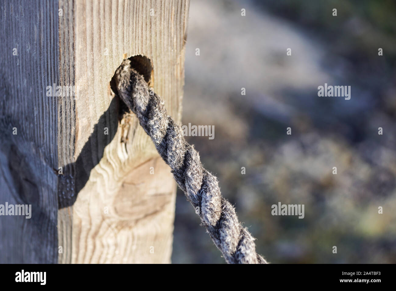 Wooden pole poles hi-res stock photography and images - Alamy