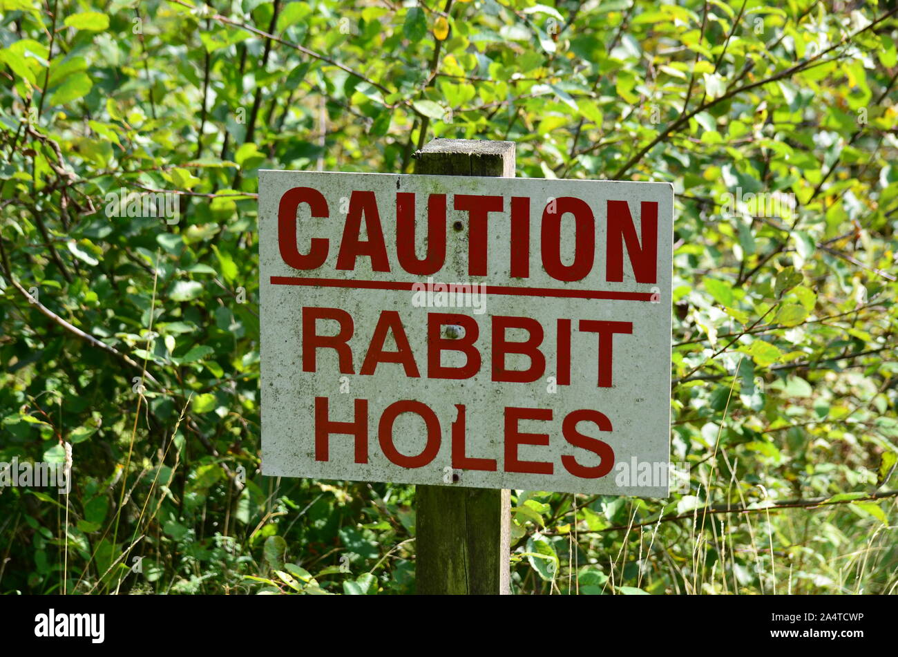 "Caution rabbit holes' sign Stock Photo - Alamy