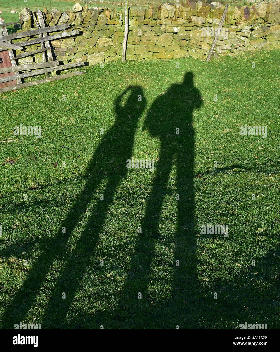 Long shadows of photographers Stock Photo - Alamy