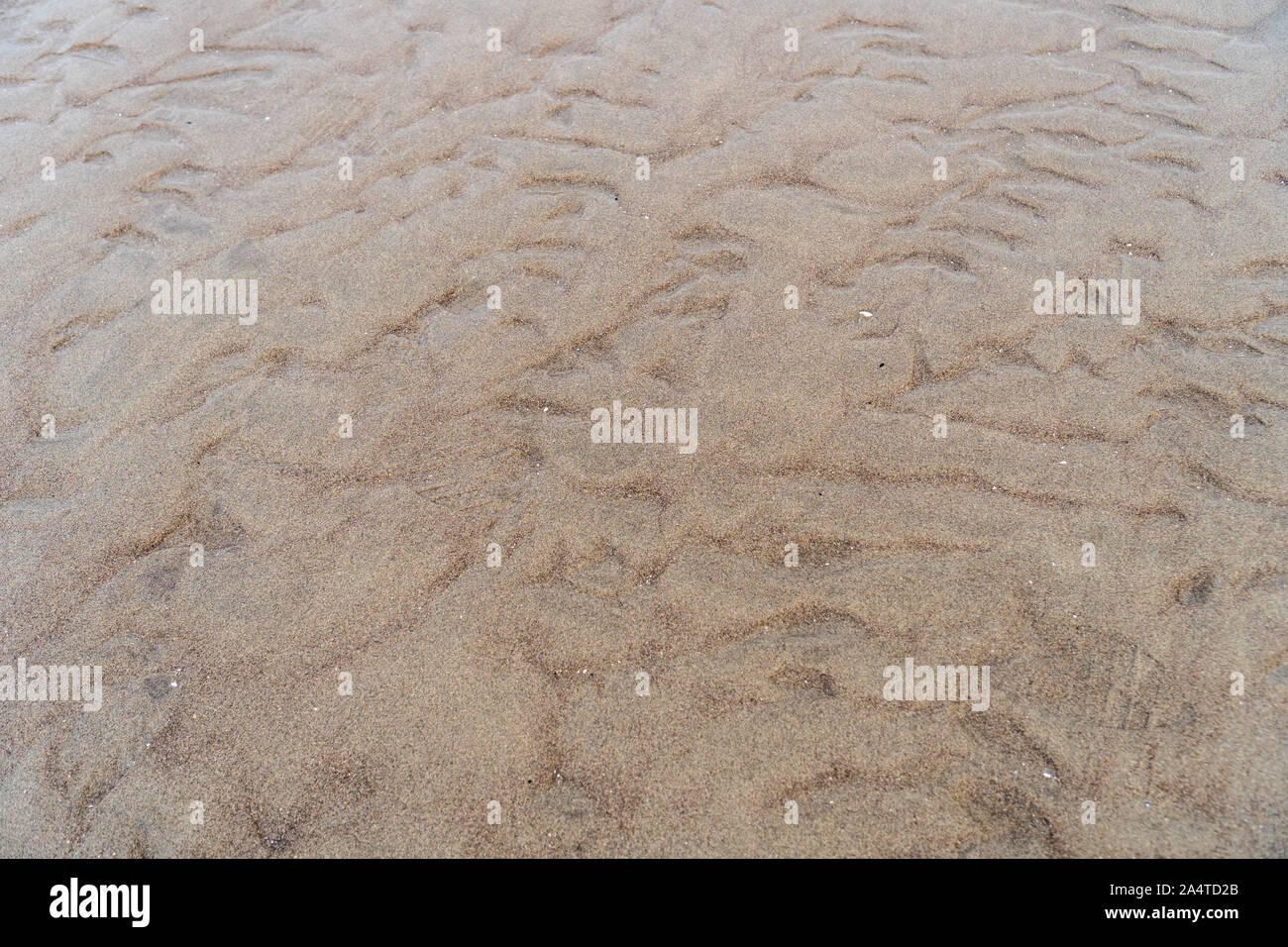 Texture of the wet sand of the sea beach Stock Photo - Alamy