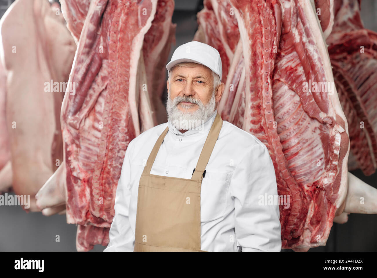Male butcher working with meat hi-res stock photography and images - Alamy