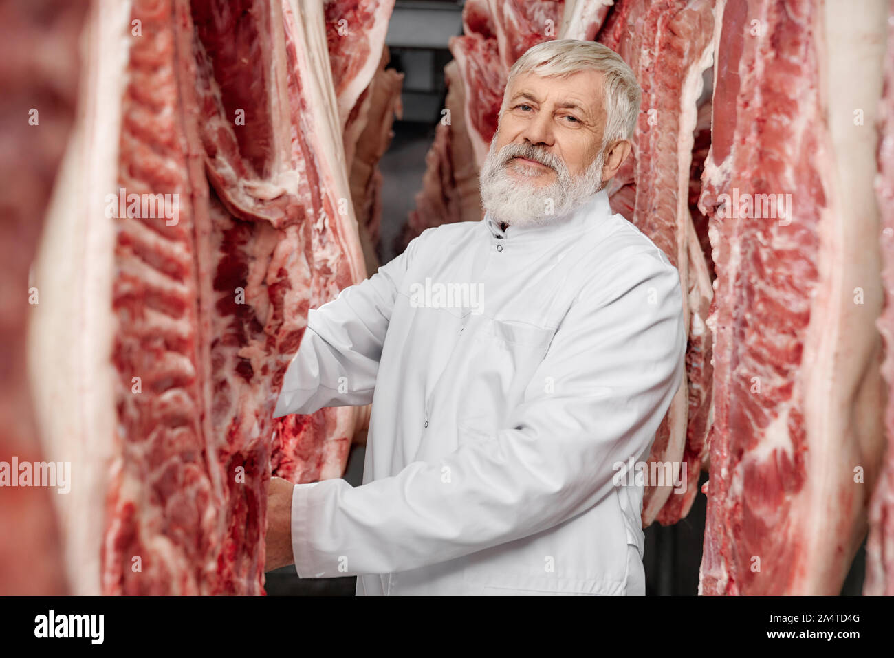 Elderly, professional butcher in white uniform standing between rows of ...