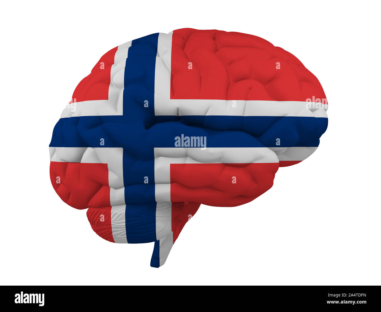 human brain is colored flag of Norway. 3d rendering Stock Photo - Alamy
