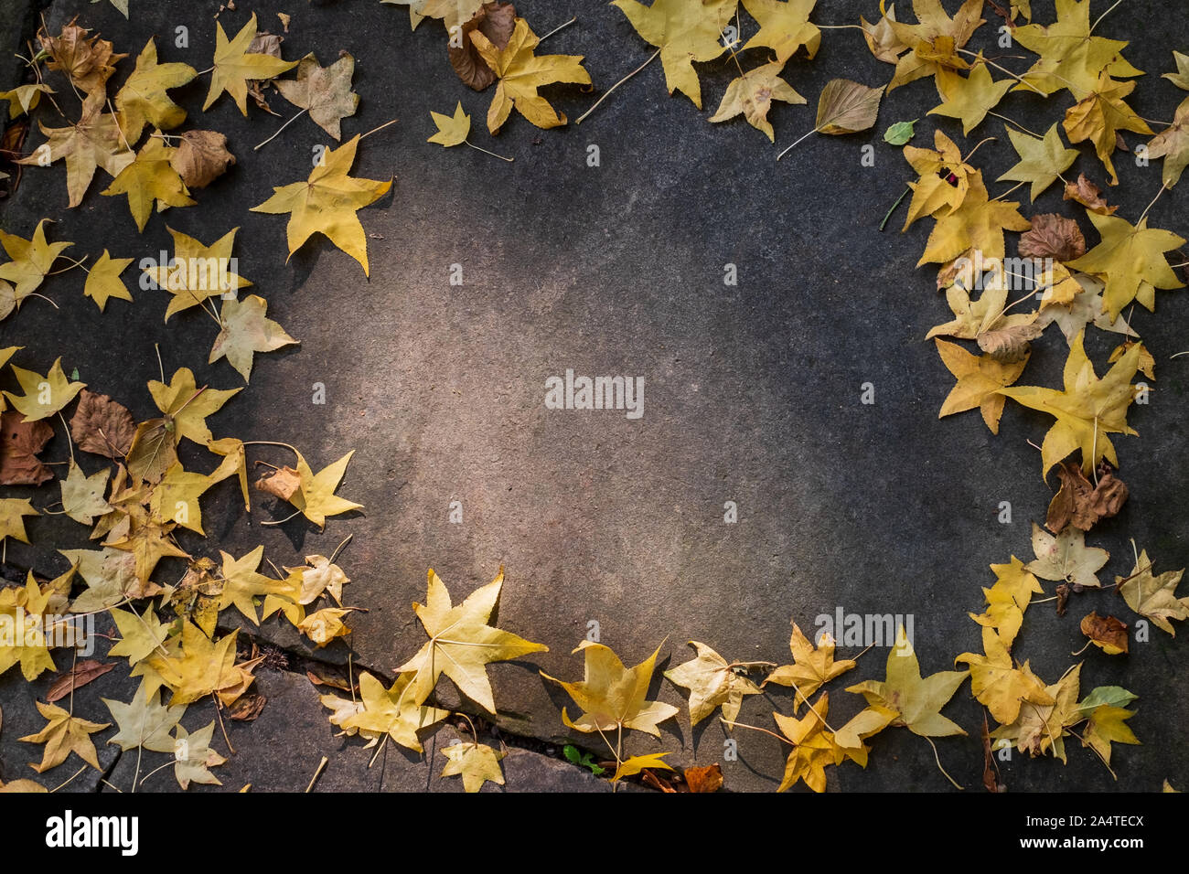Empty space fall hi-res stock photography and images - Alamy