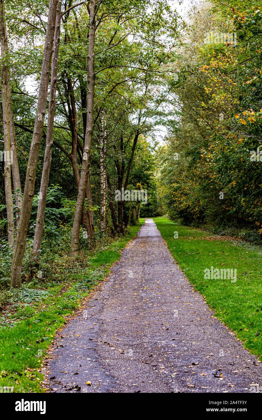 Straight pedestrian path between trees and green vegetation with dry ...