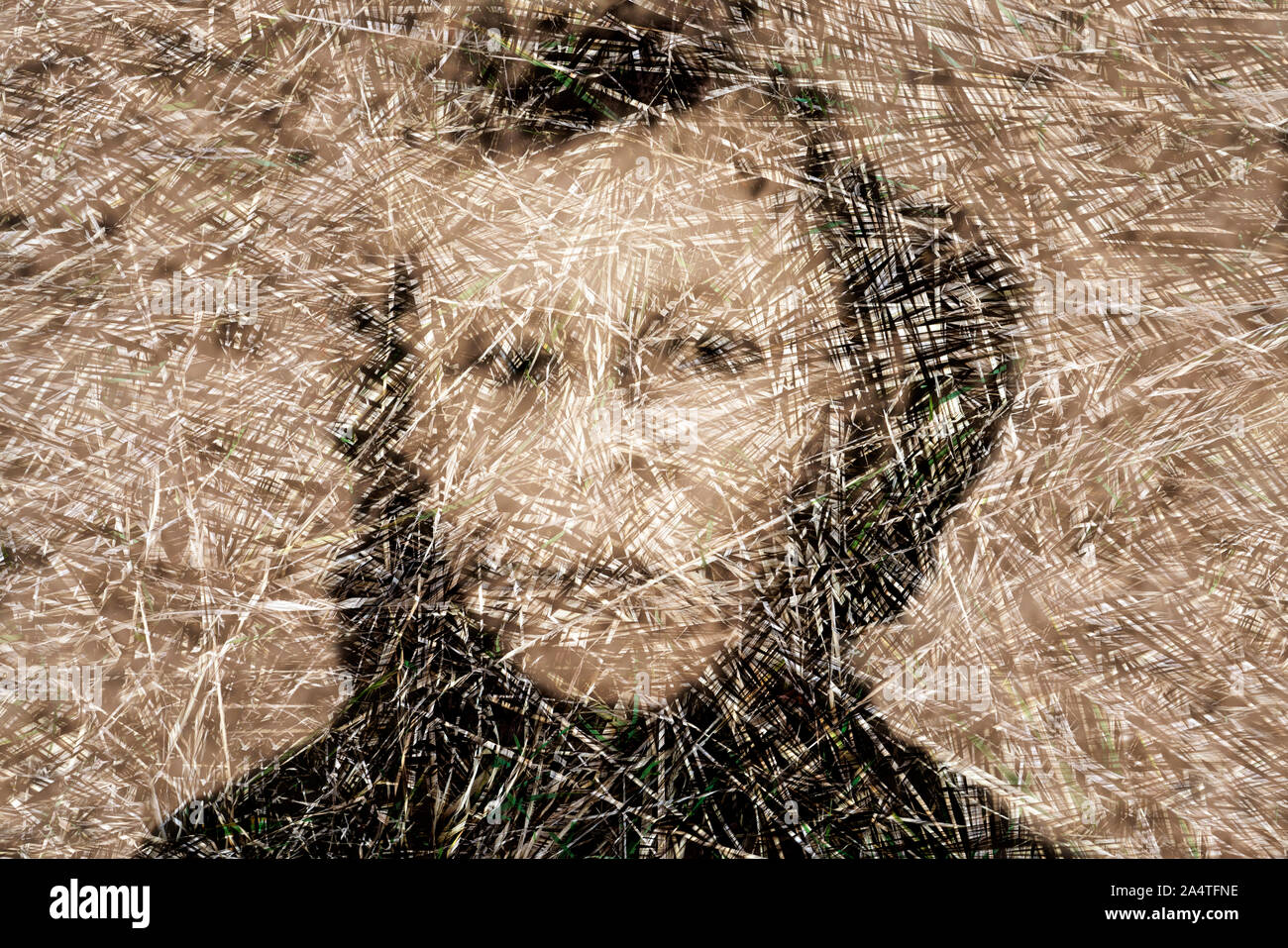 Face of the demon hi-res stock photography and images - Alamy