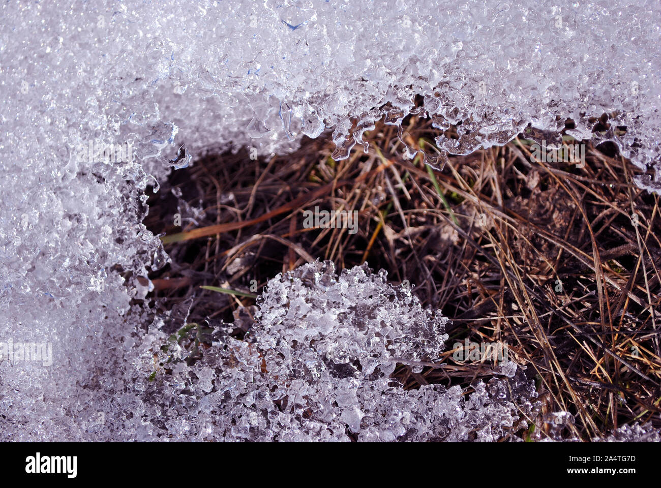 Bright yellow and grass covered with white snow, natural background top ...