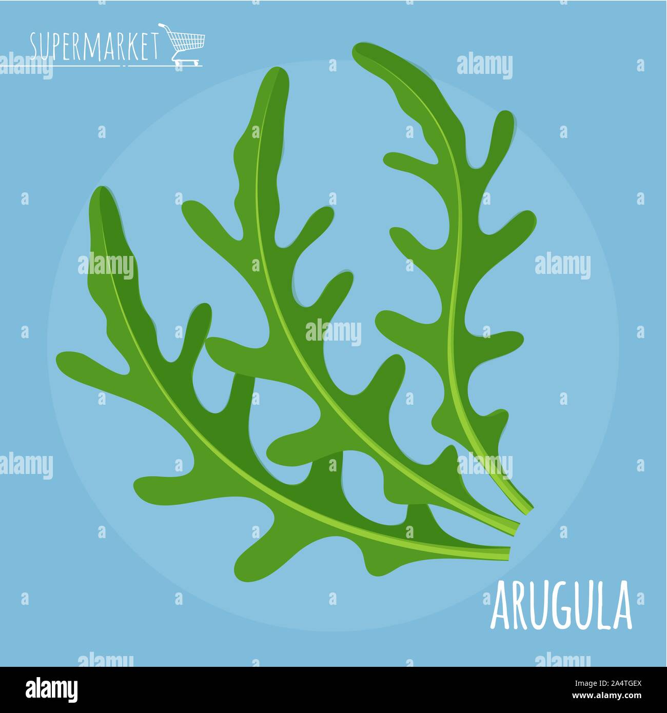 Arugula fresh leaf icon hi-res stock photography and images - Alamy