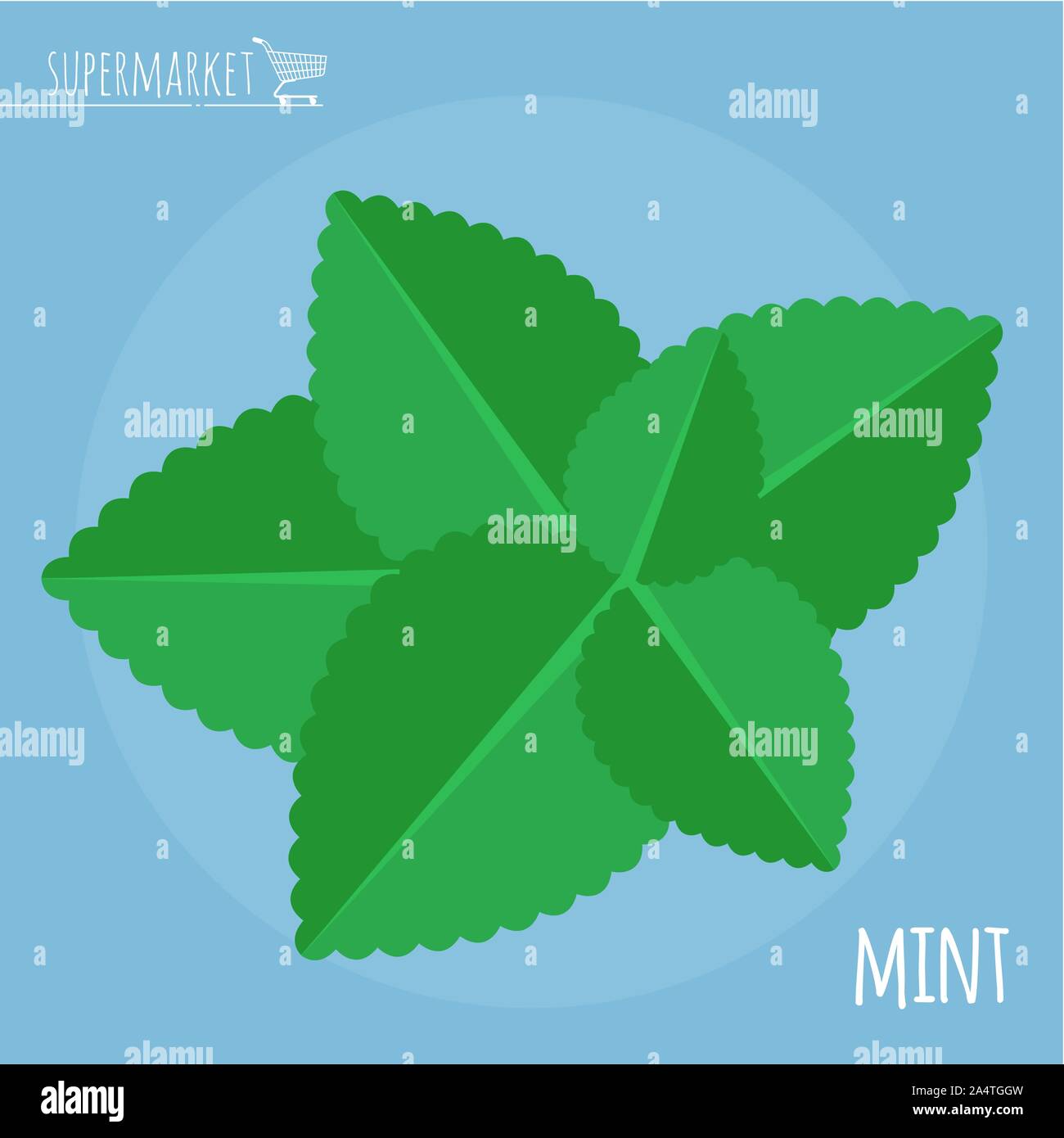 Fresh mint vector icon Stock Vector Image & Art - Alamy