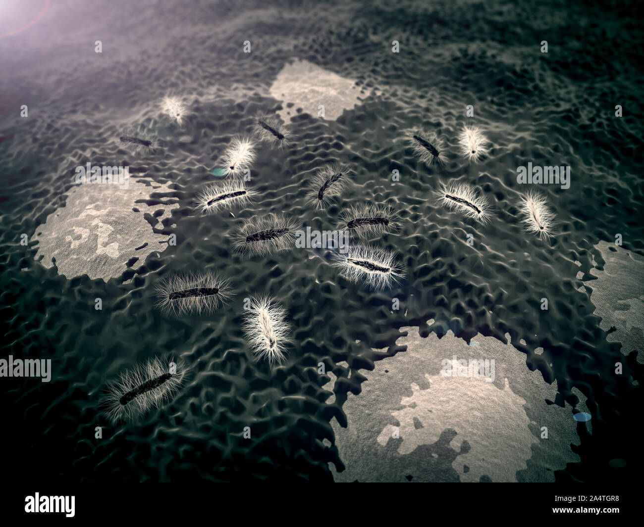 Elicobacter hi-res stock photography and images - Alamy