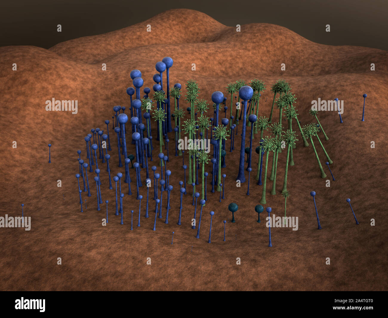 Animation spores hi-res stock photography and images - Alamy