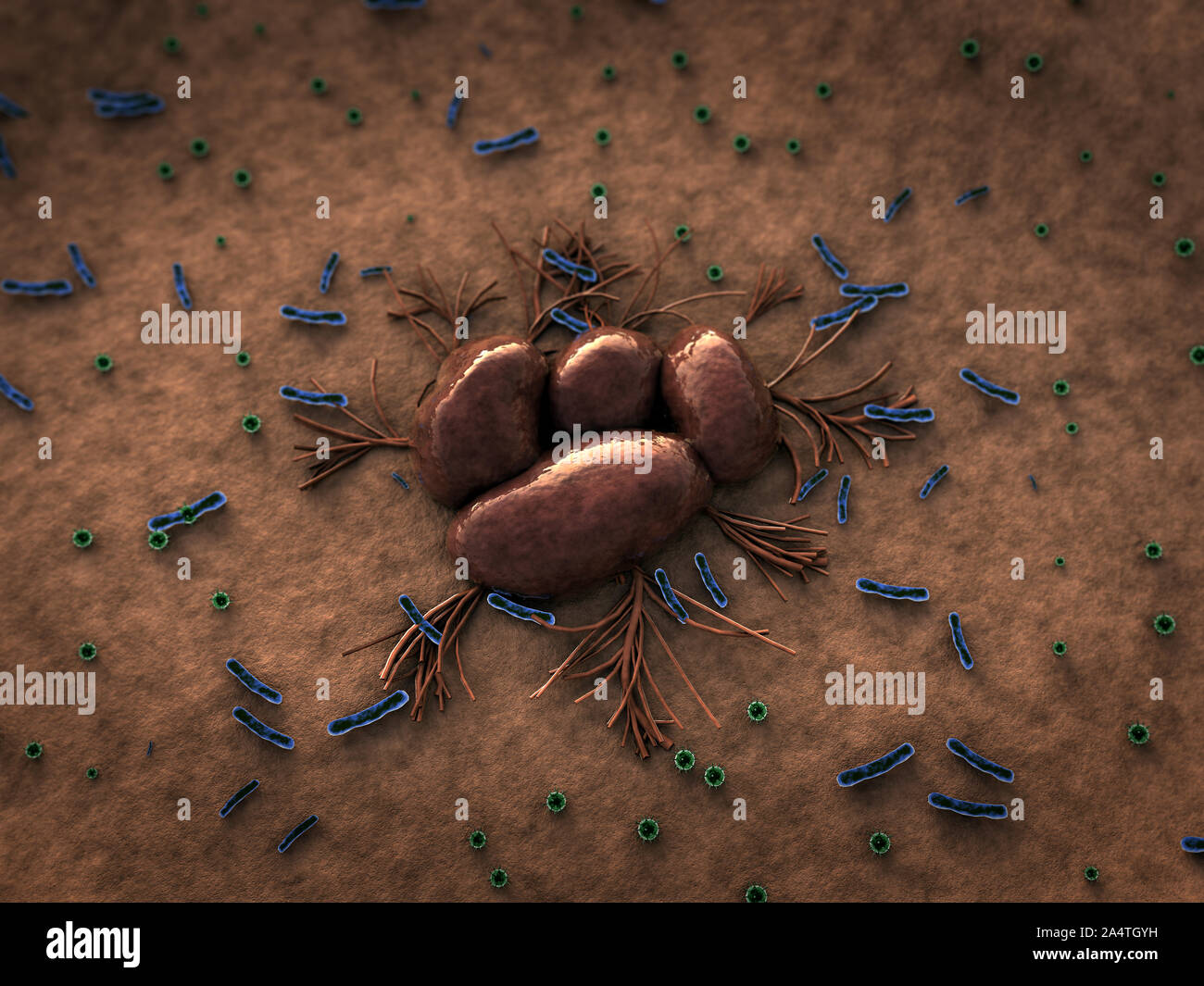 Skin surface magnification hi-res stock photography and images - Alamy