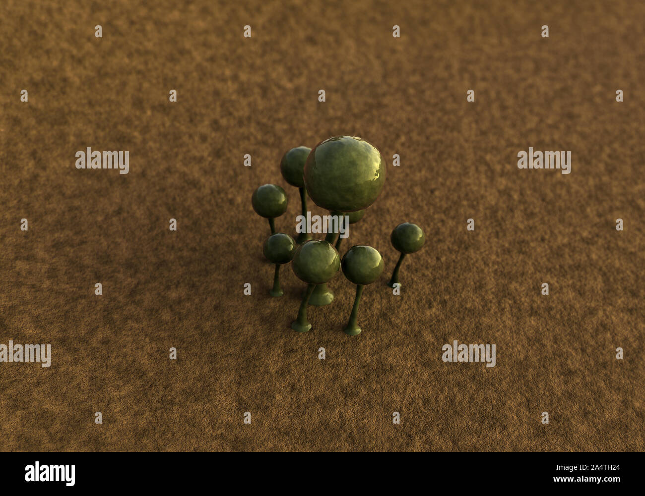 fungus spores, Mold spores, fungus releases spores, landscape of ...