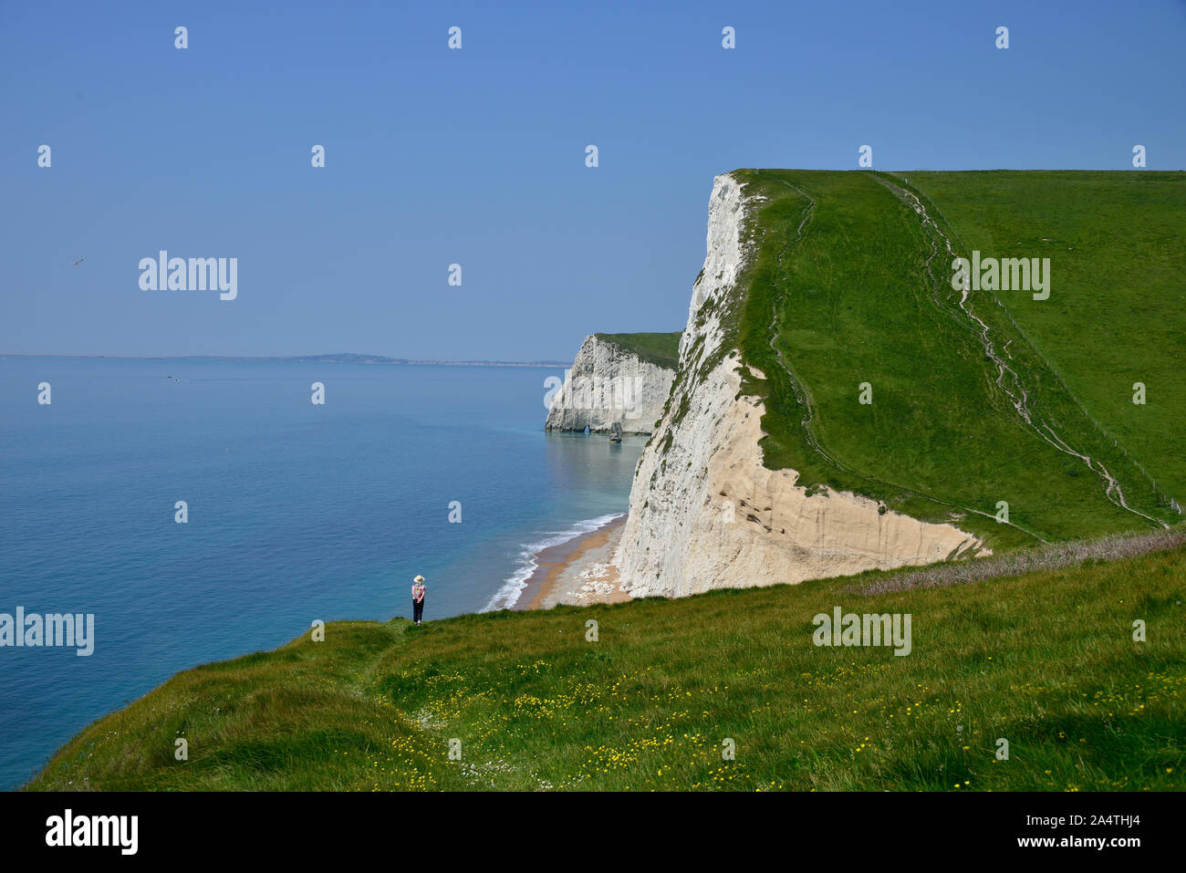 Admiring the White Cliffs at Durdle Door Stock Photo - Alamy