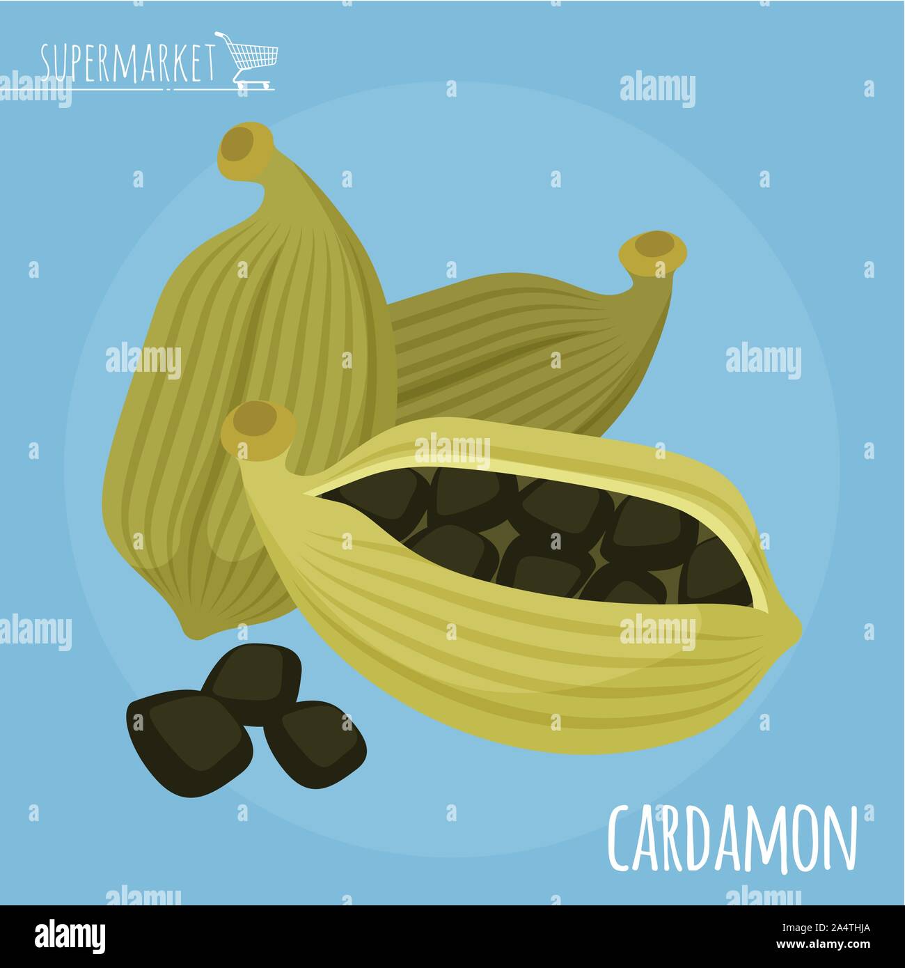 Cardamon plant hi-res stock photography and images - Alamy