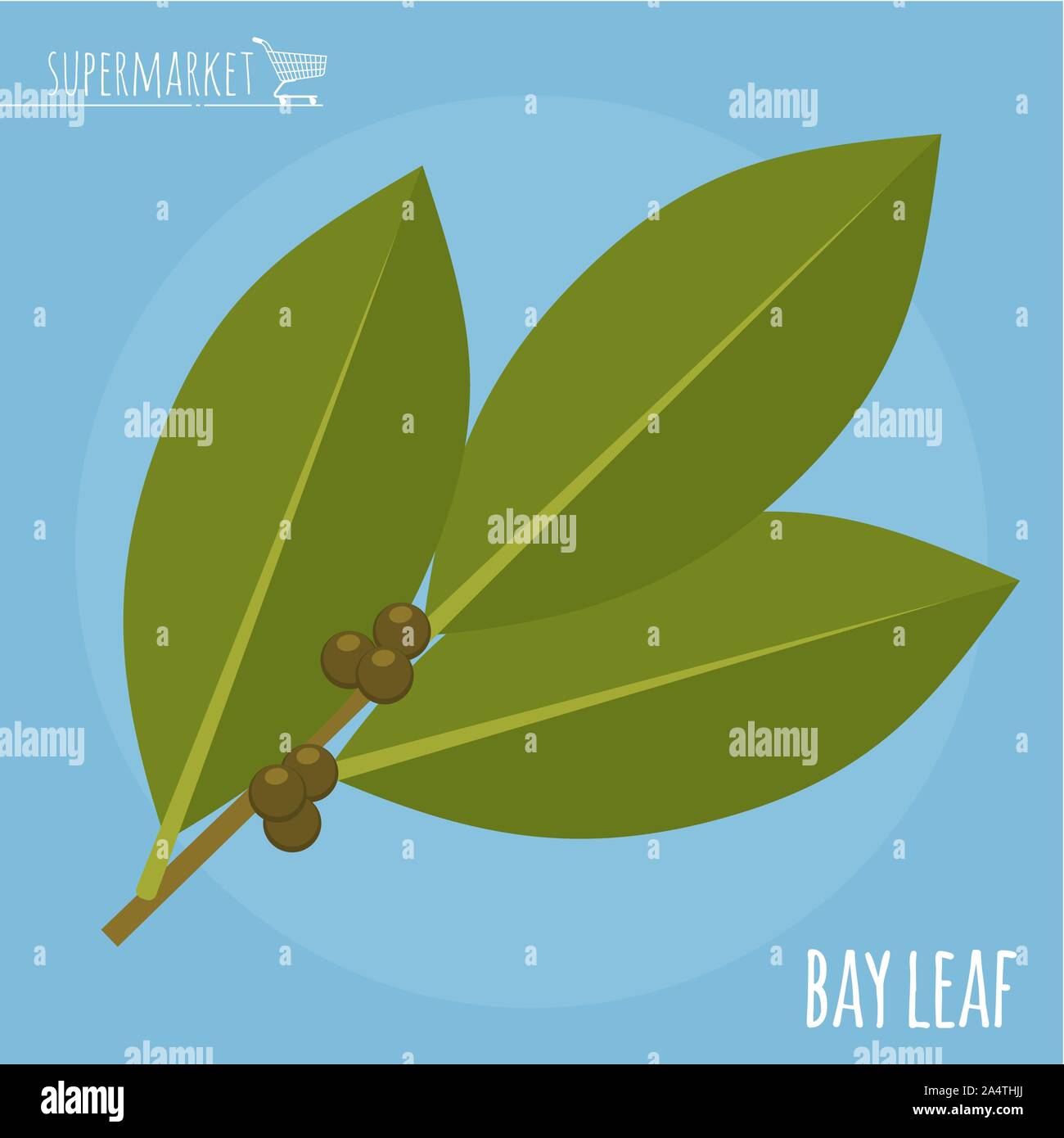 Bay leaf flat design vector icon Stock Vector Image & Art - Alamy