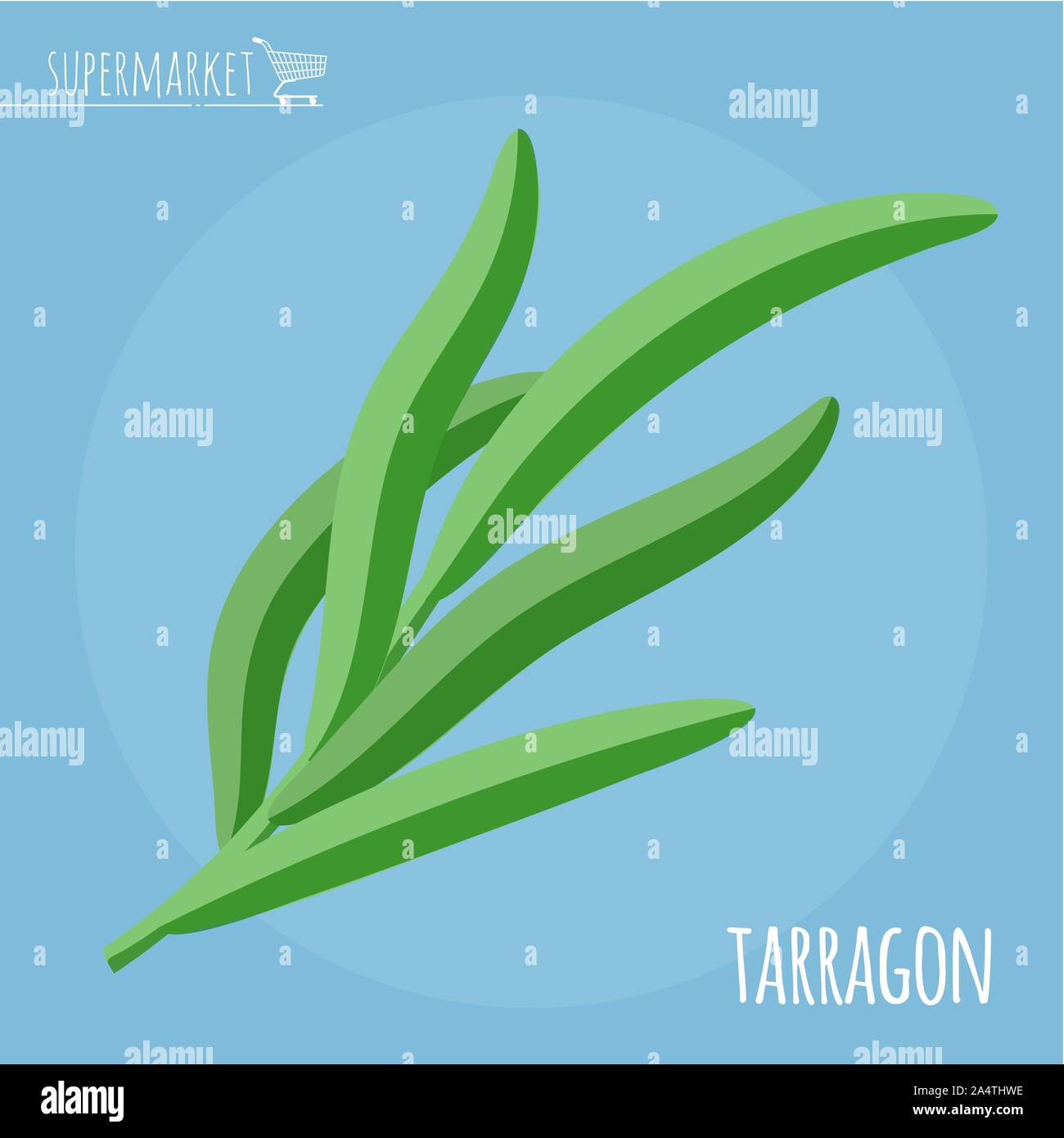Tarragon flat design vector icon Stock Vector Image & Art - Alamy