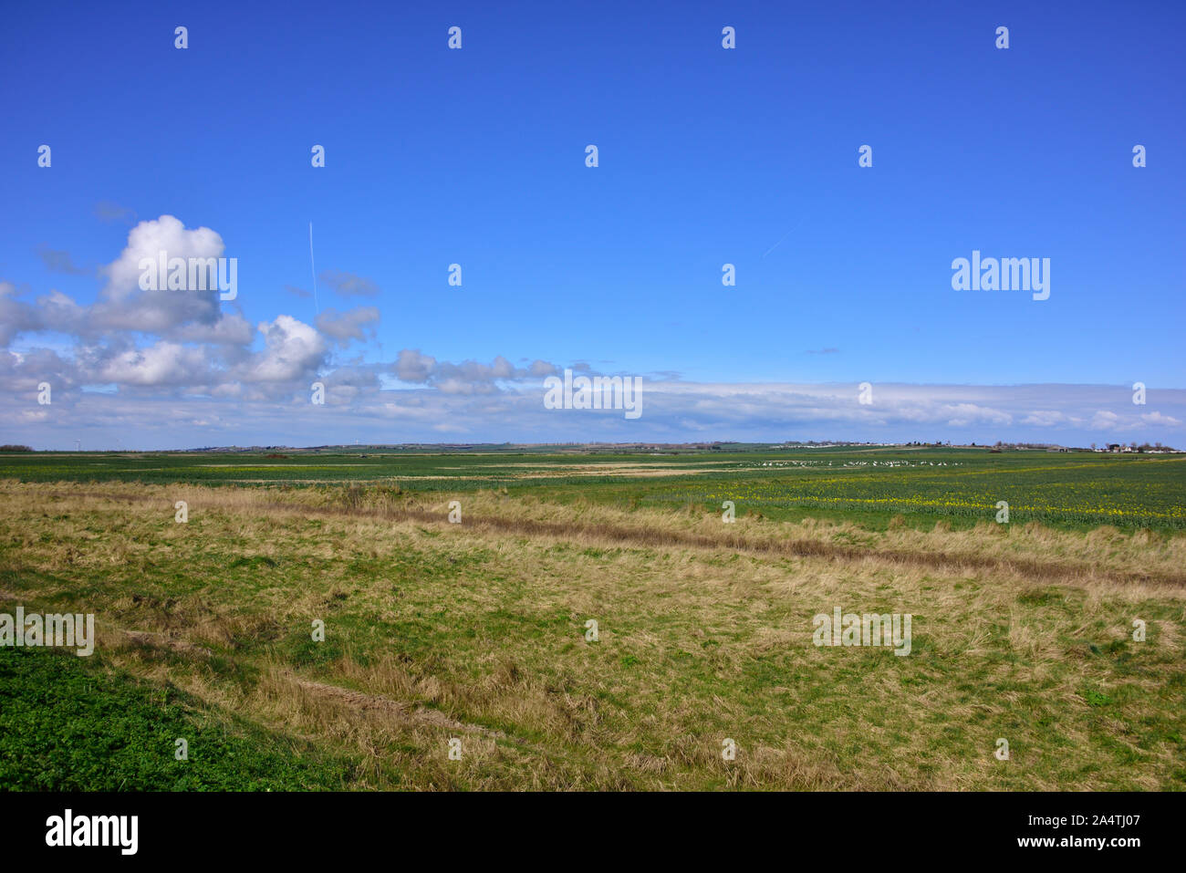 Big Skies and Long Views at Shellness Nature Reserve Stock Photo - Alamy