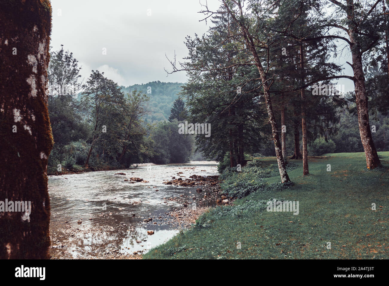 River Jezernica, second shortest river in Slovenia, less than 100 ...