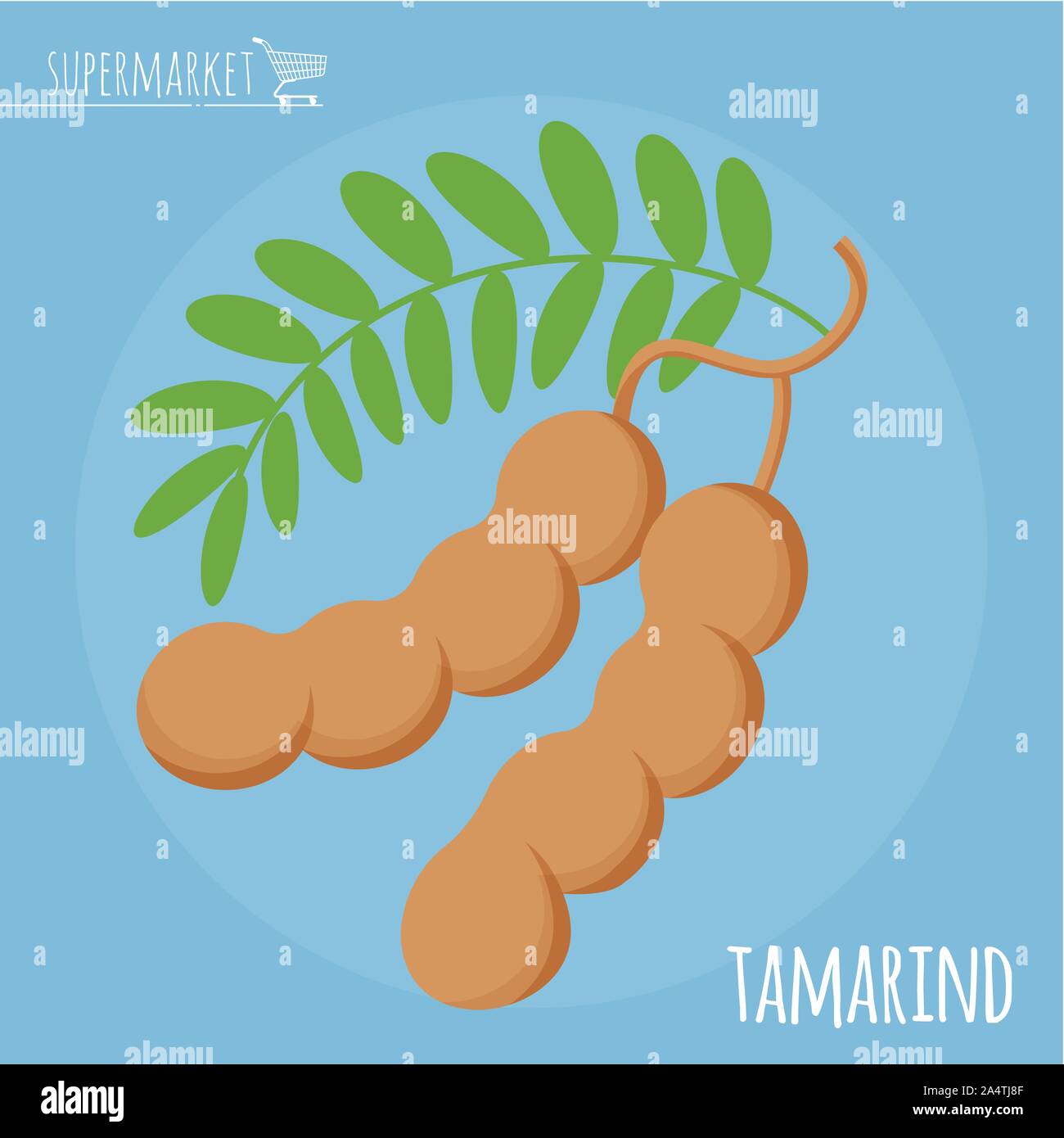 Tamarind flat design vector icon Stock Vector Image & Art - Alamy