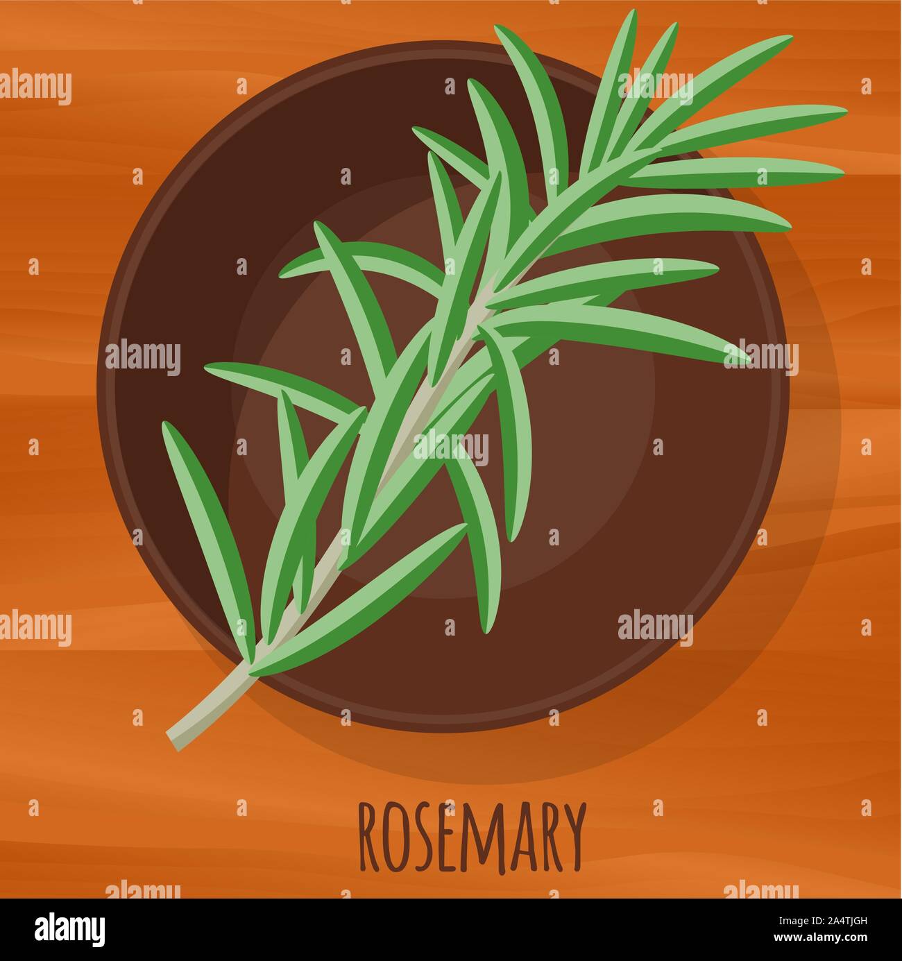 Green rosemary plant Stock Vector Images - Alamy