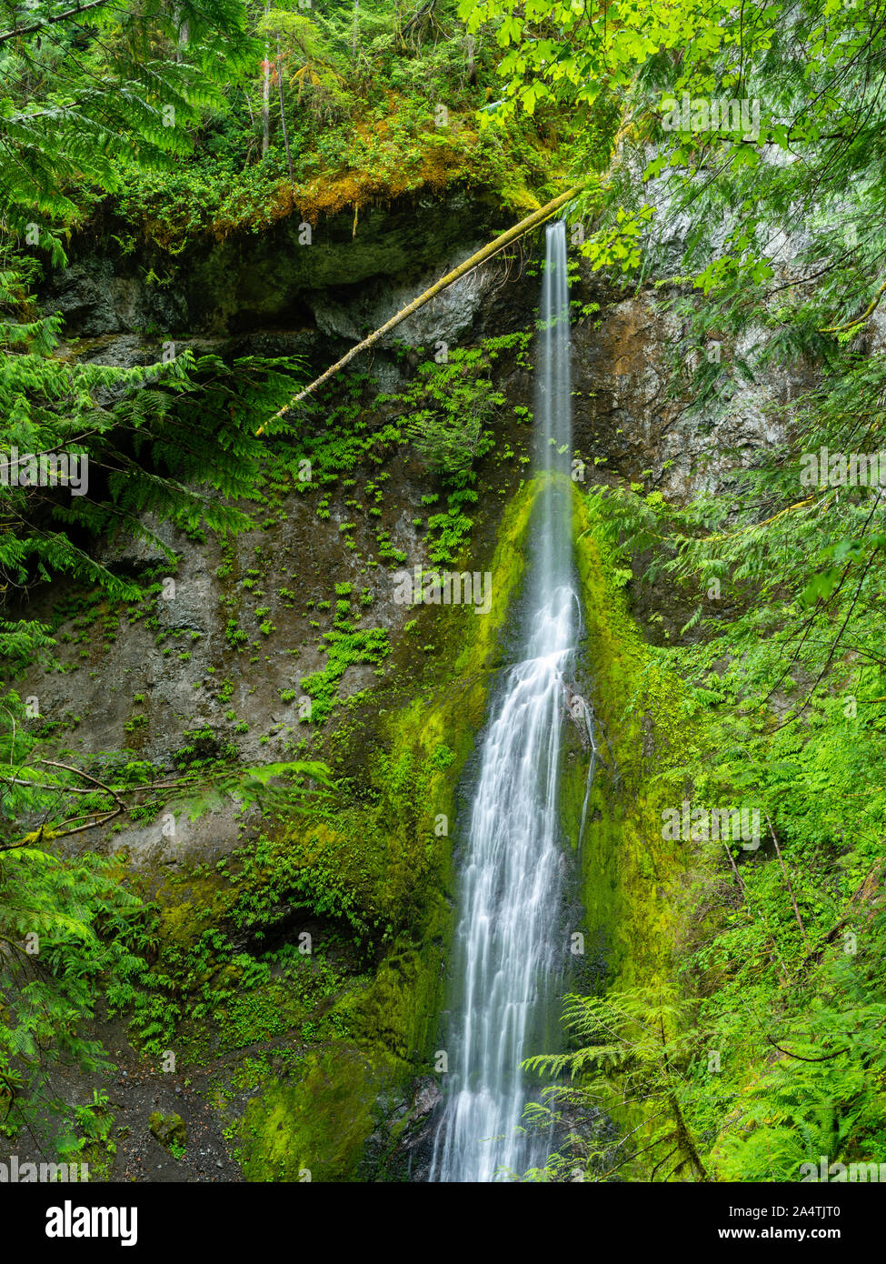 A waterfall on an overcast day at the Staircase unit of Olympic ...