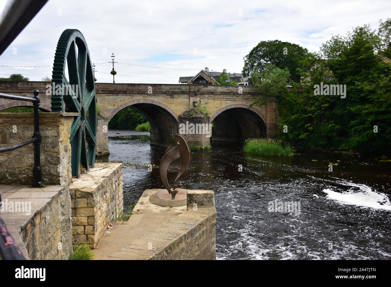 Leaping salmon wetherby hi-res stock photography and images - Alamy