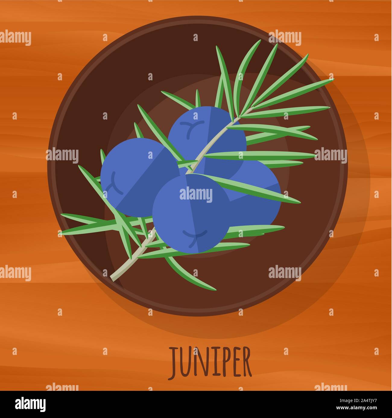 Evergreen garden design Stock Vector Images - Alamy