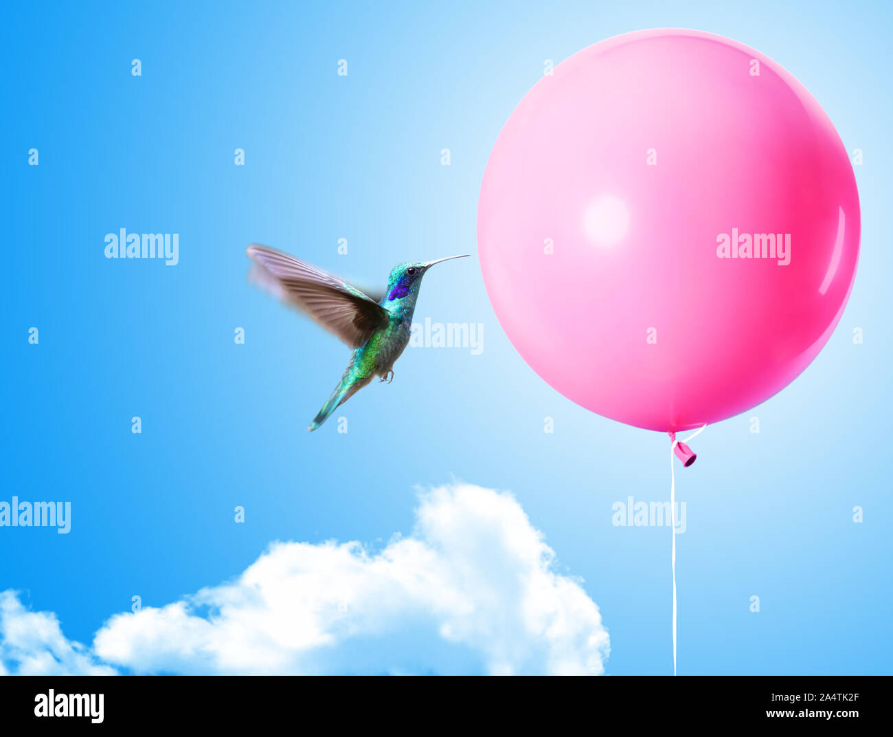 Balloon pop hi-res stock photography and images - Alamy