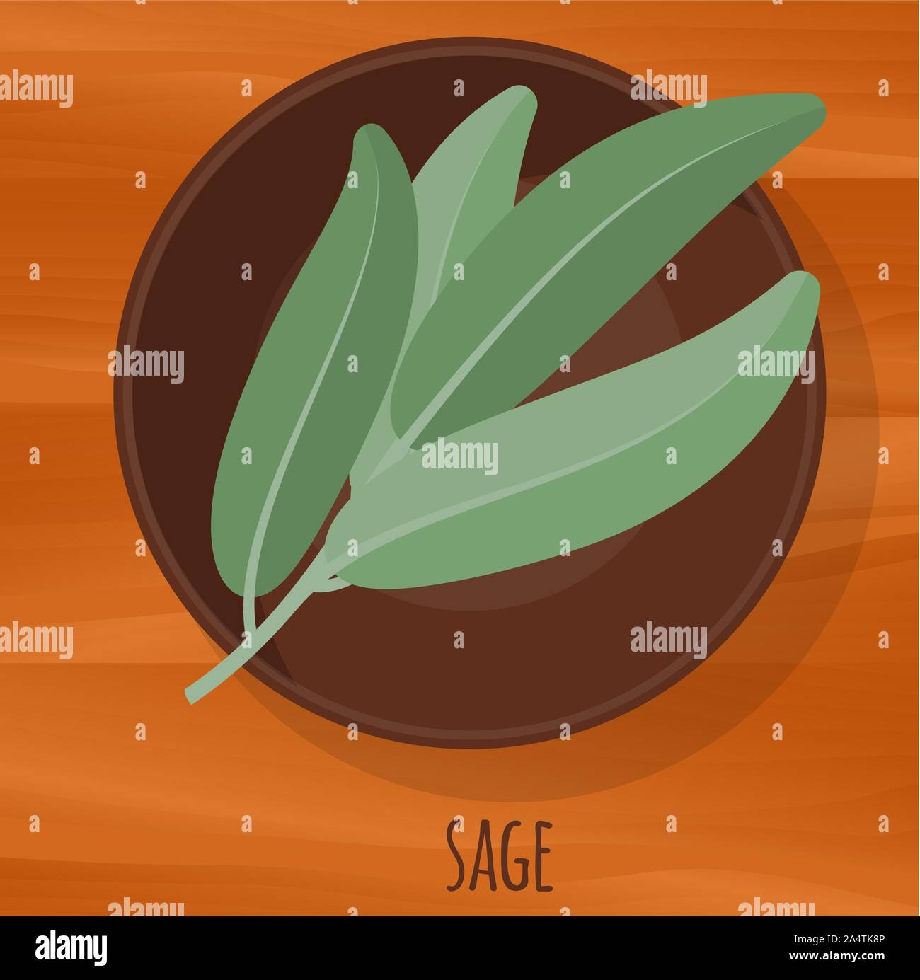 Sage flat design vector icon Stock Vector Image & Art - Alamy