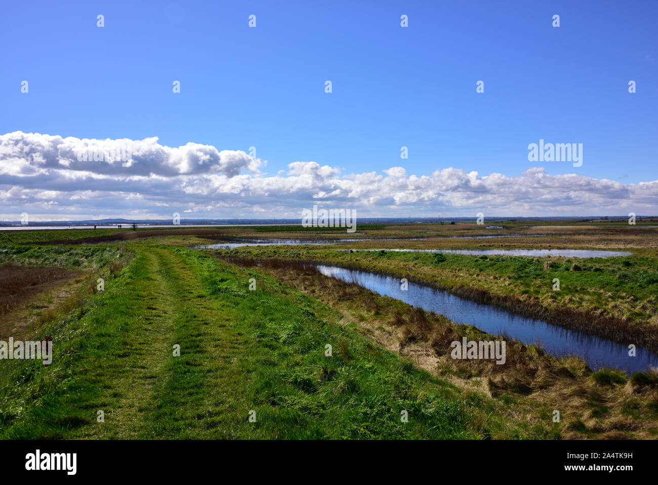 Isle of sheppey shellness hi-res stock photography and images - Alamy