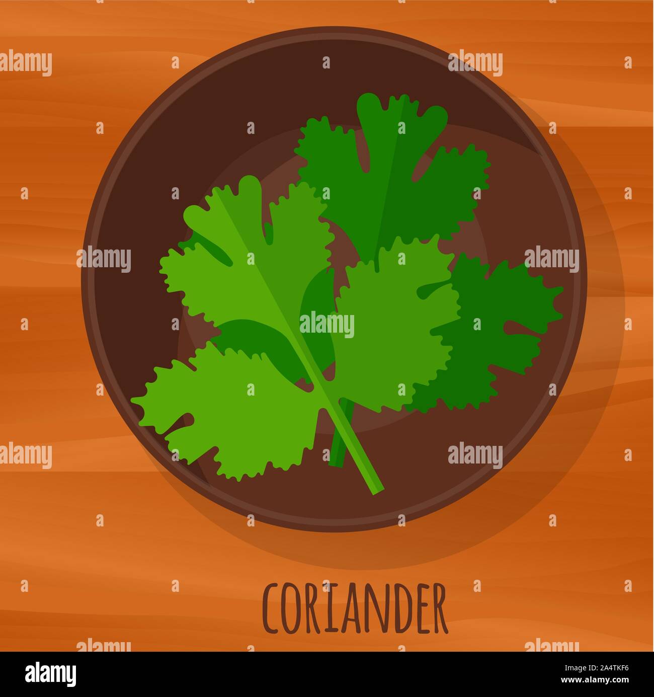 Coriander flat design vector icon Stock Vector Image & Art - Alamy