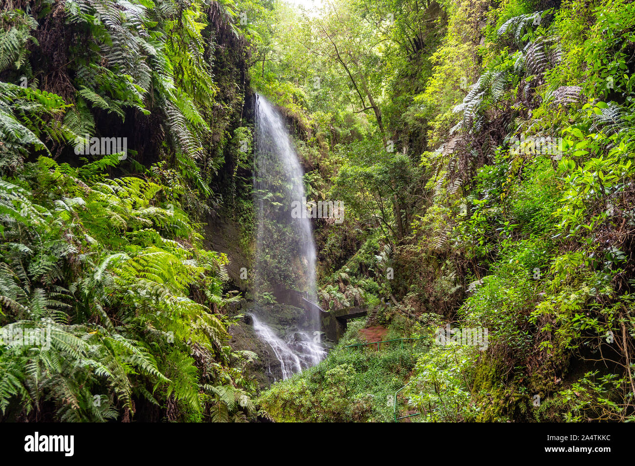 Waterfall of Los Tilos in the national park of La Palma, Canary Islands ...