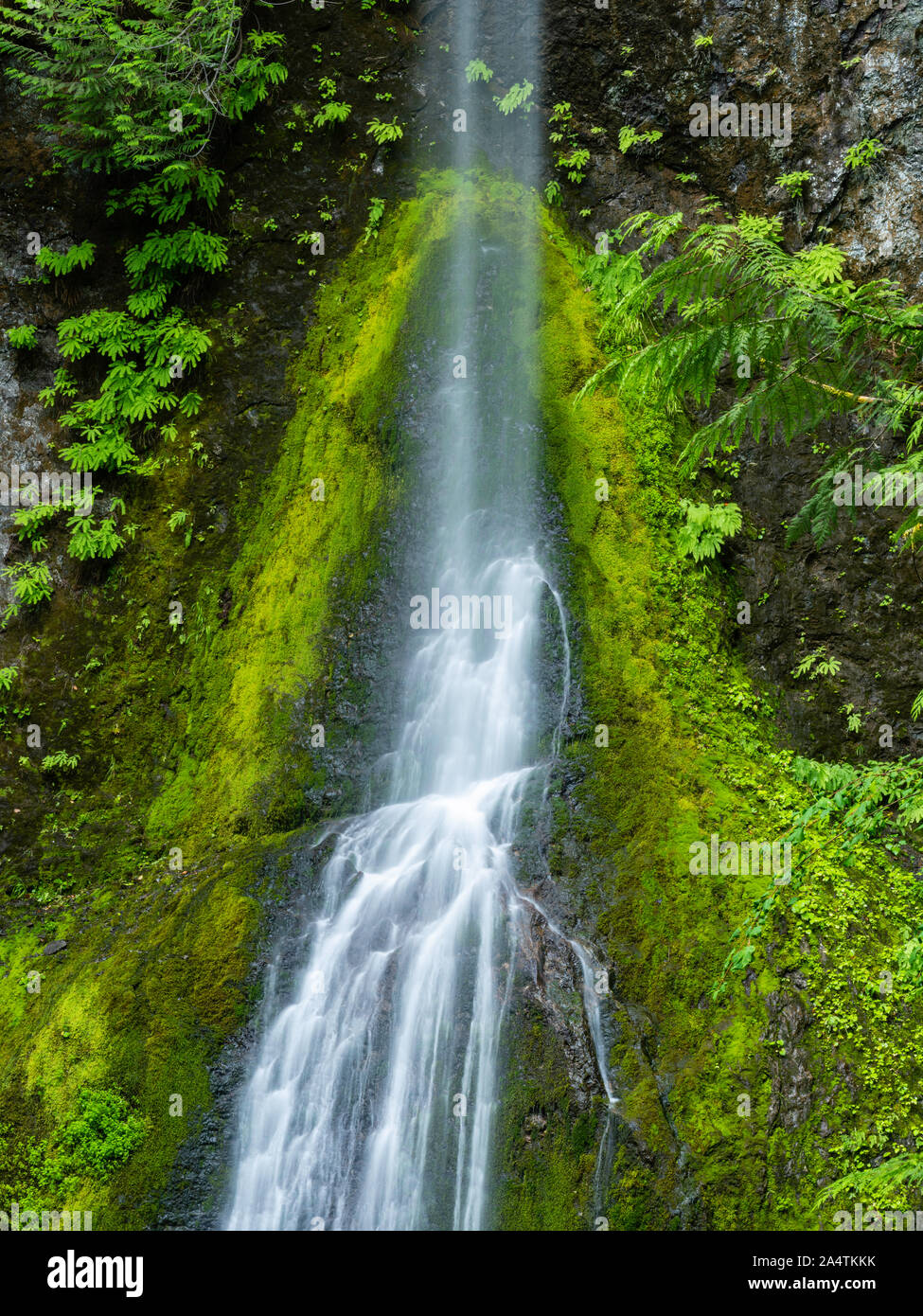A waterfall on an overcast day at the Staircase unit of Olympic ...