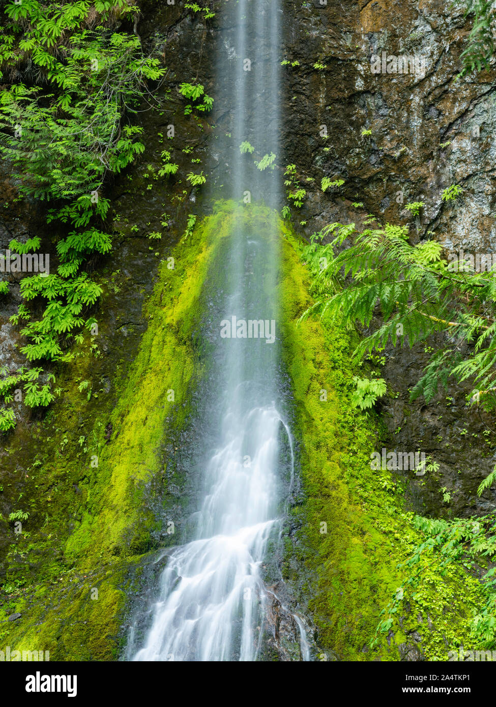 A waterfall on an overcast day at the Staircase unit of Olympic ...