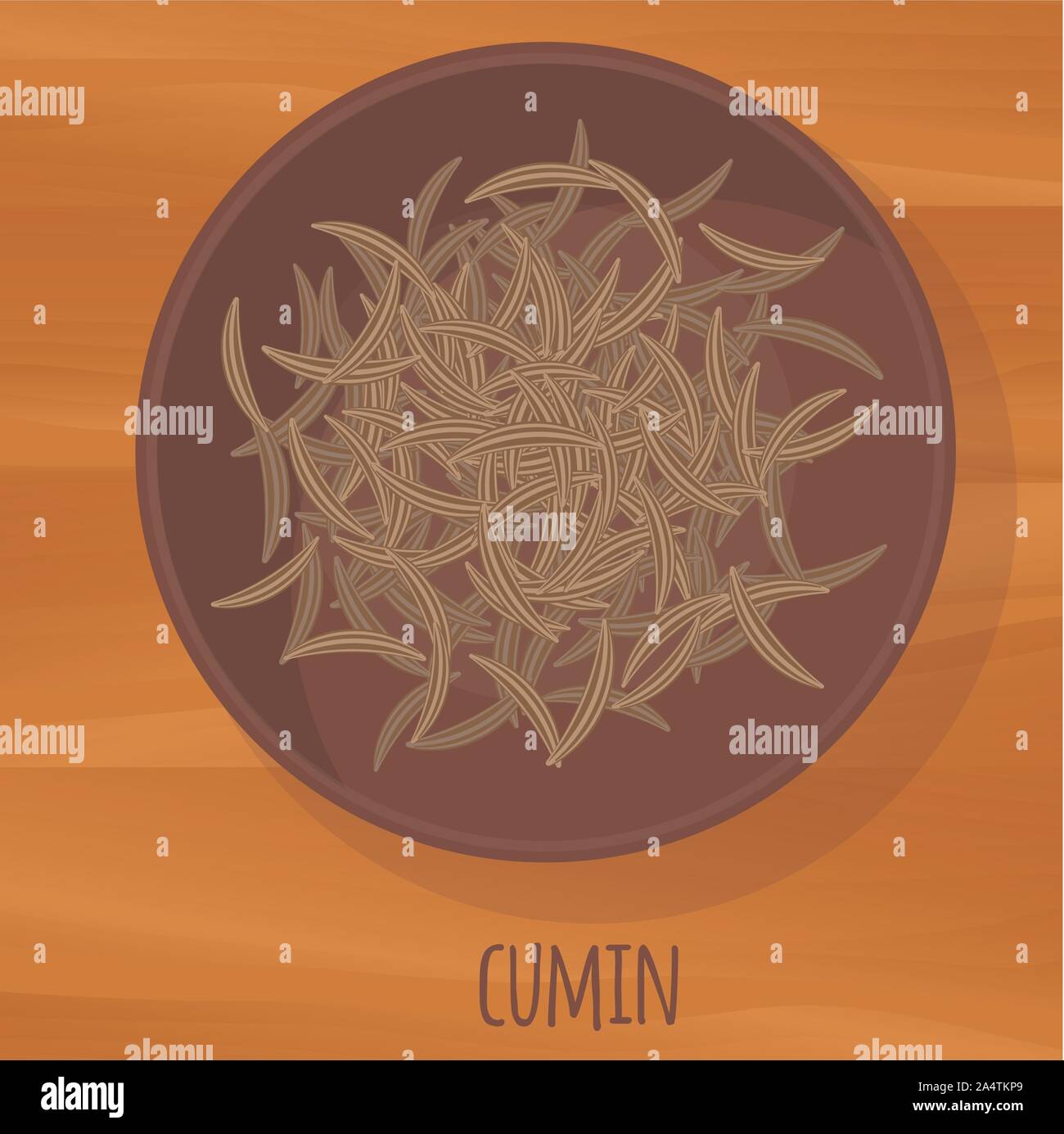 Cumin plant Stock Vector Images - Alamy