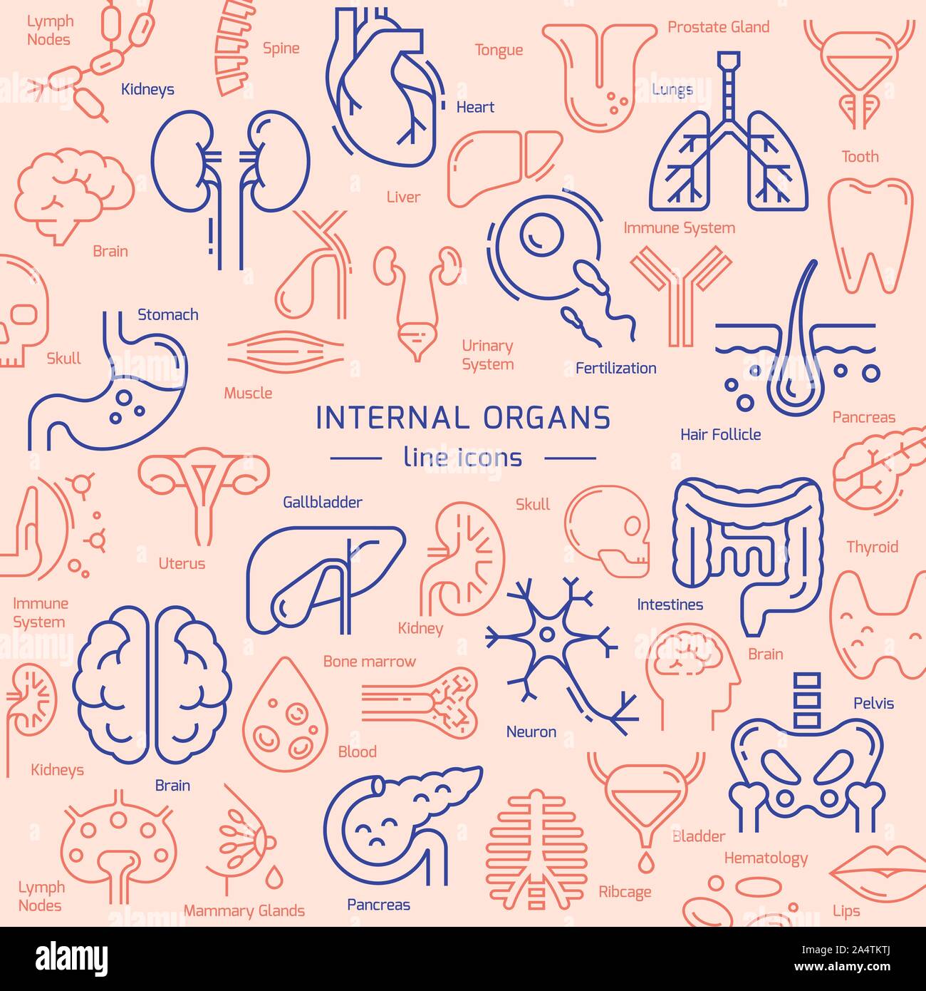 Vector medical theme pattern consisting of colored linear icons of ...