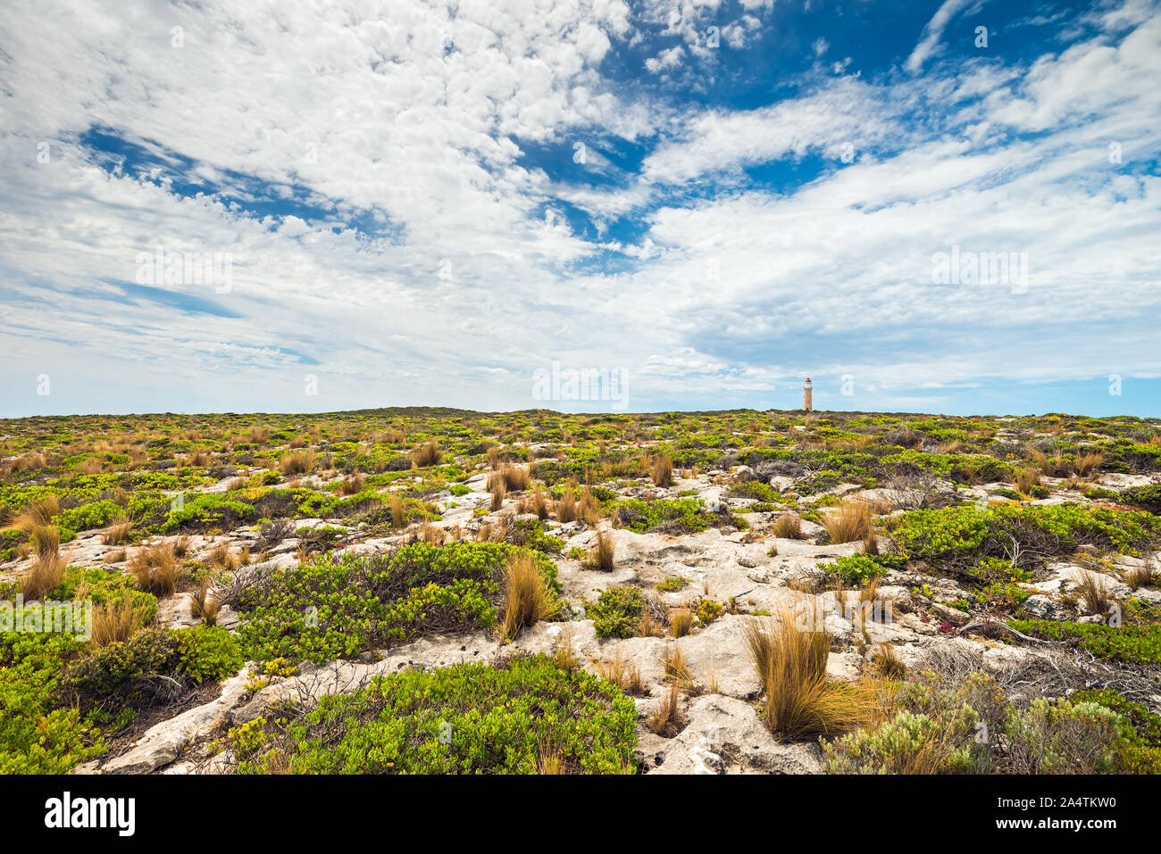 Kangaroo Island landscape with Cape Du Couedic lighthouse on horizon ...
