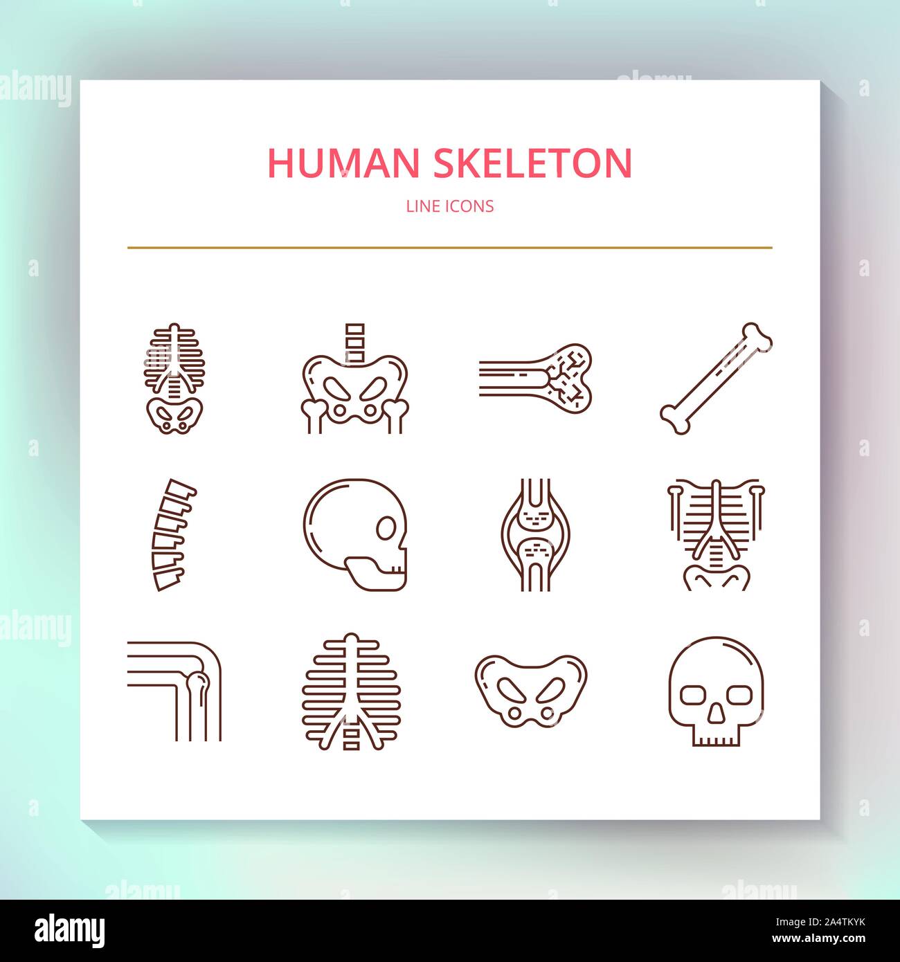 Set of linear vector icons of the human skeleton Stock Vector Image ...