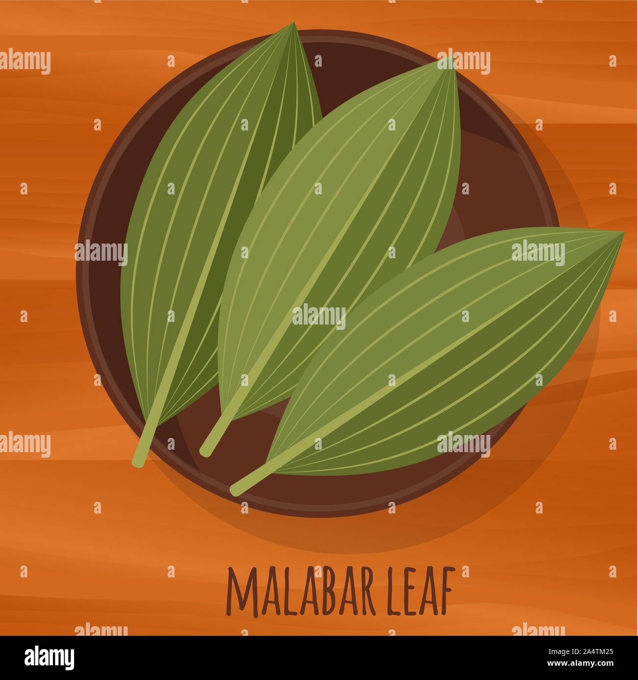 Malabar leaf Stock Vector Images - Alamy