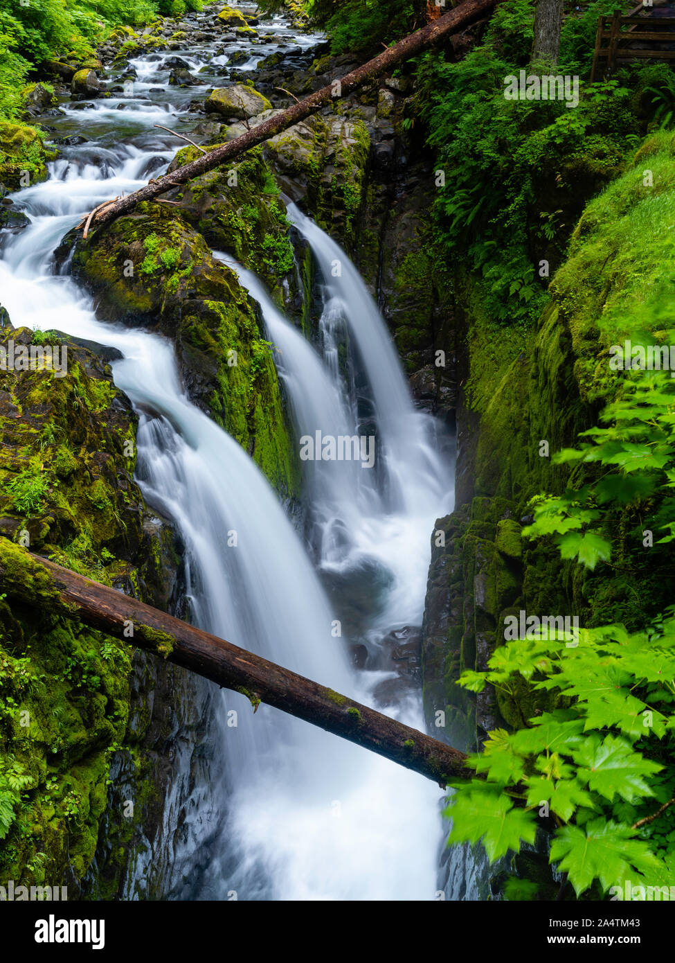 Sol Duc High Resolution Stock Photography and Images - Alamy