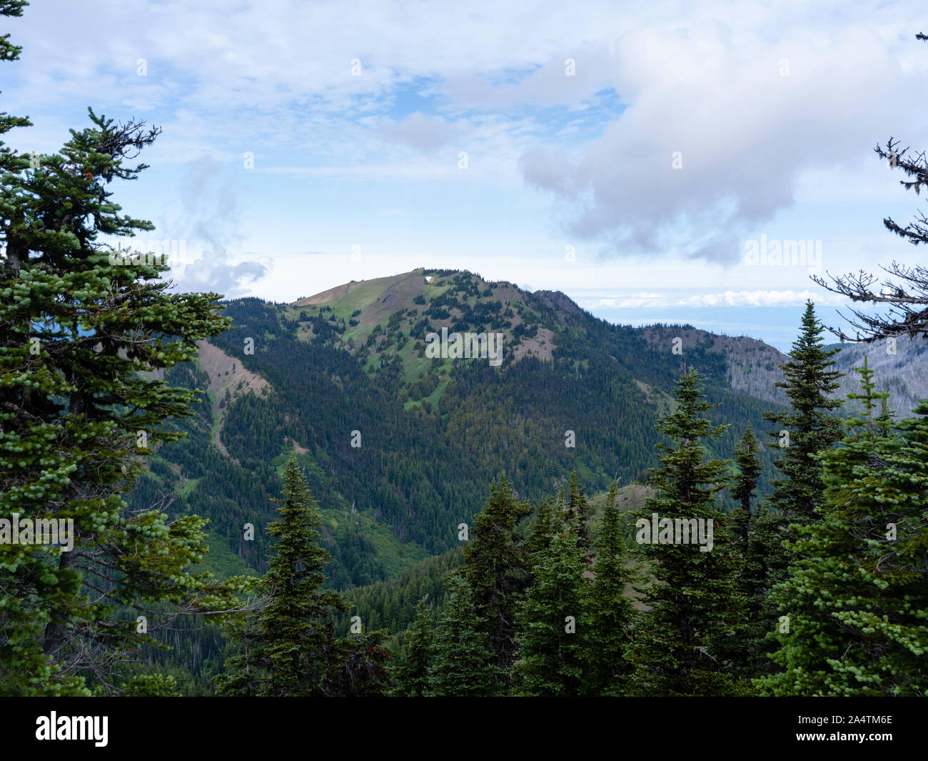 The view from near the Hurricane Ridge site of Olympic National Park ...