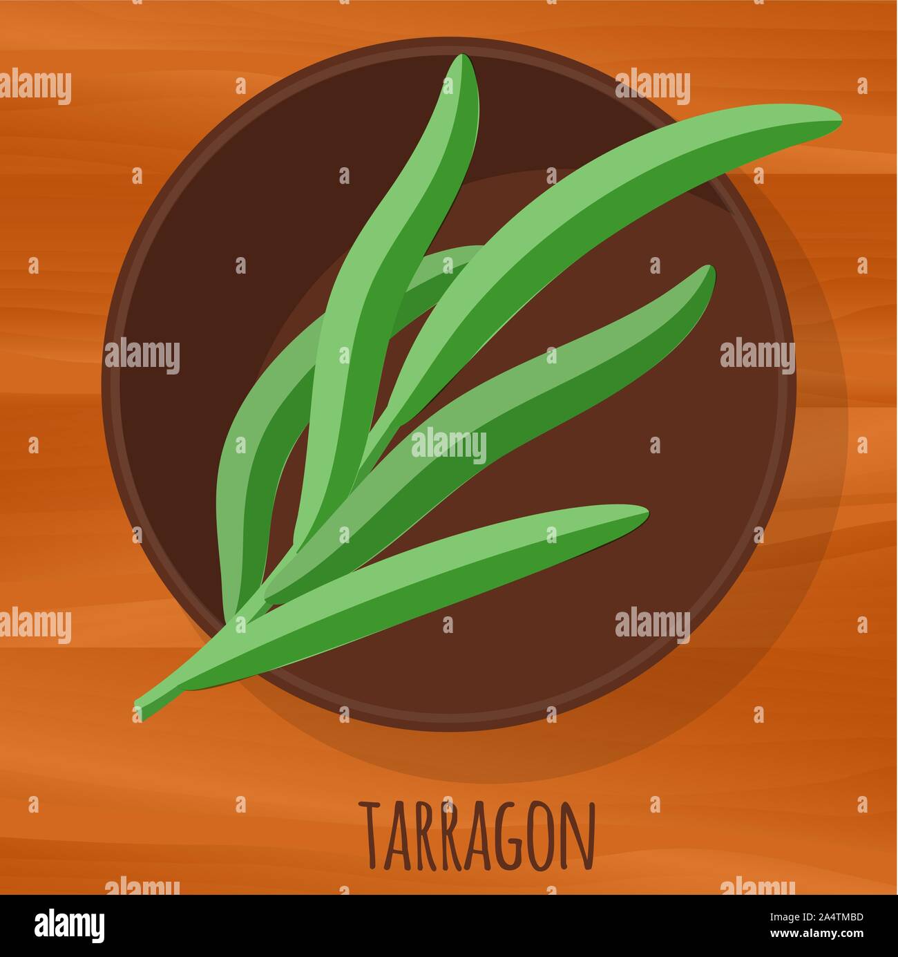 Black and white tarragon Stock Vector Images - Alamy