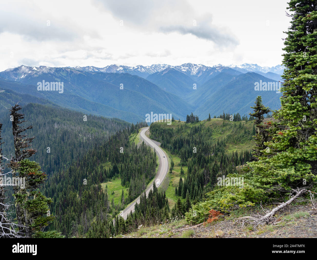 The view from near the Hurricane Ridge site of Olympic National Park ...