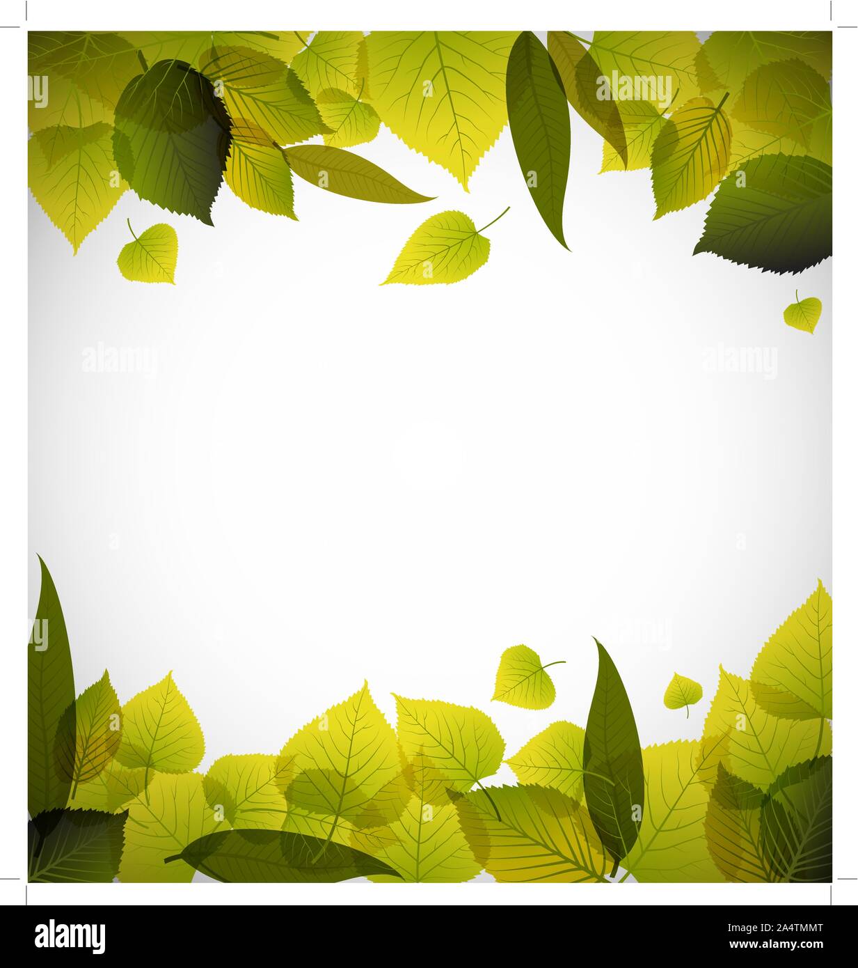 Spring leafs abstract background with place for your text Stock Vector ...