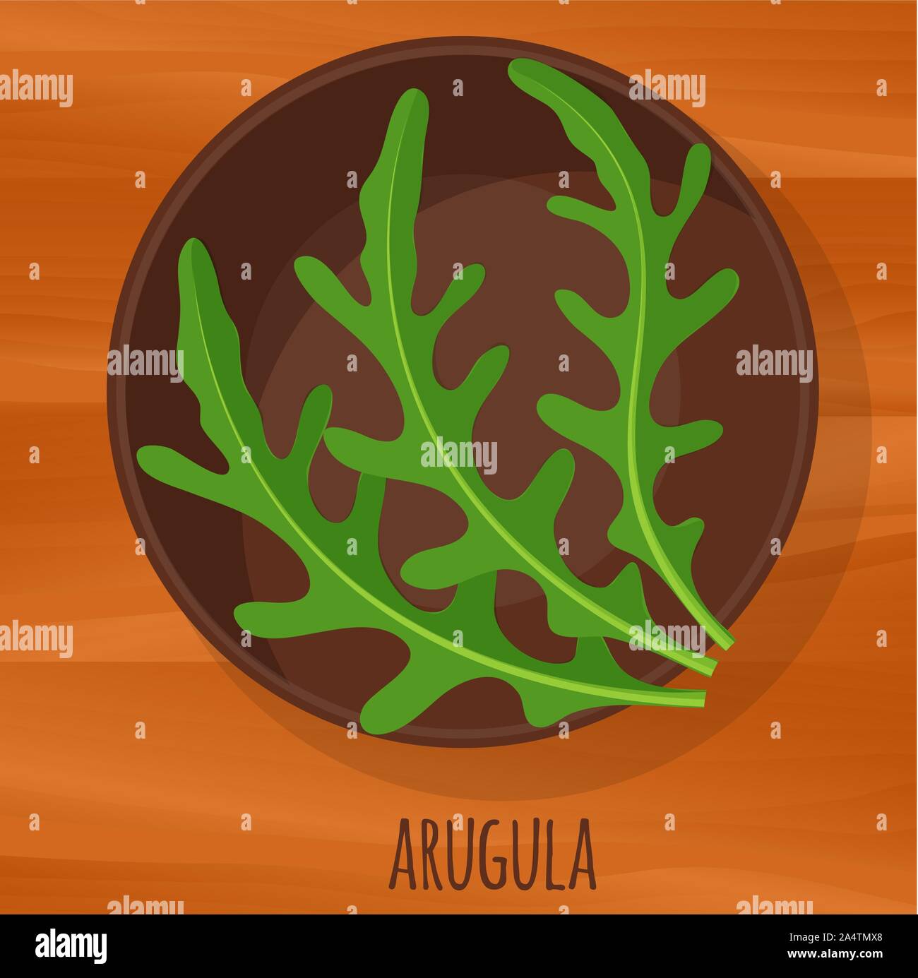 Green arugula Stock Vector Images - Alamy